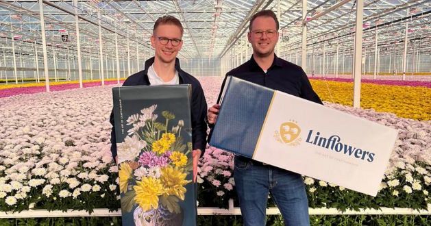 Argos - Linflowers' redesigned flower boxes